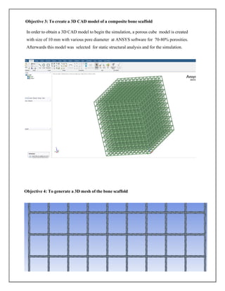 Bone Scaffold for study purpase in research.pdf