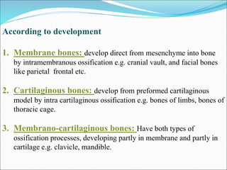 bones & cartilage-1.ppt Abcdefghijklmnopqrstuvwxyz | PPT