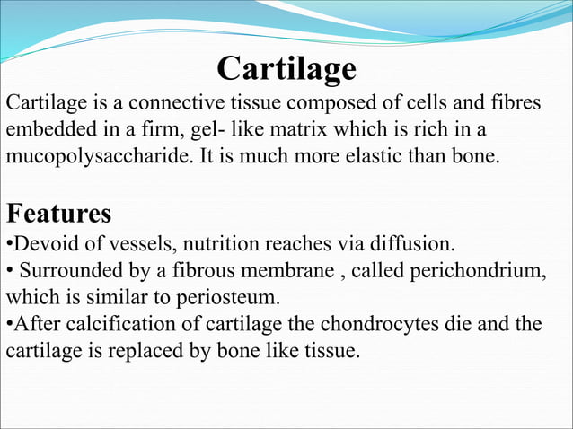 bones & cartilage-1.ppt Abcdefghijklmnopqrstuvwxyz | PPT