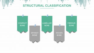bones classification.pptx types of bones | PPTX