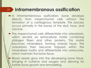 Comprehensive Overview of Bone Structure, Types, and Formation ...