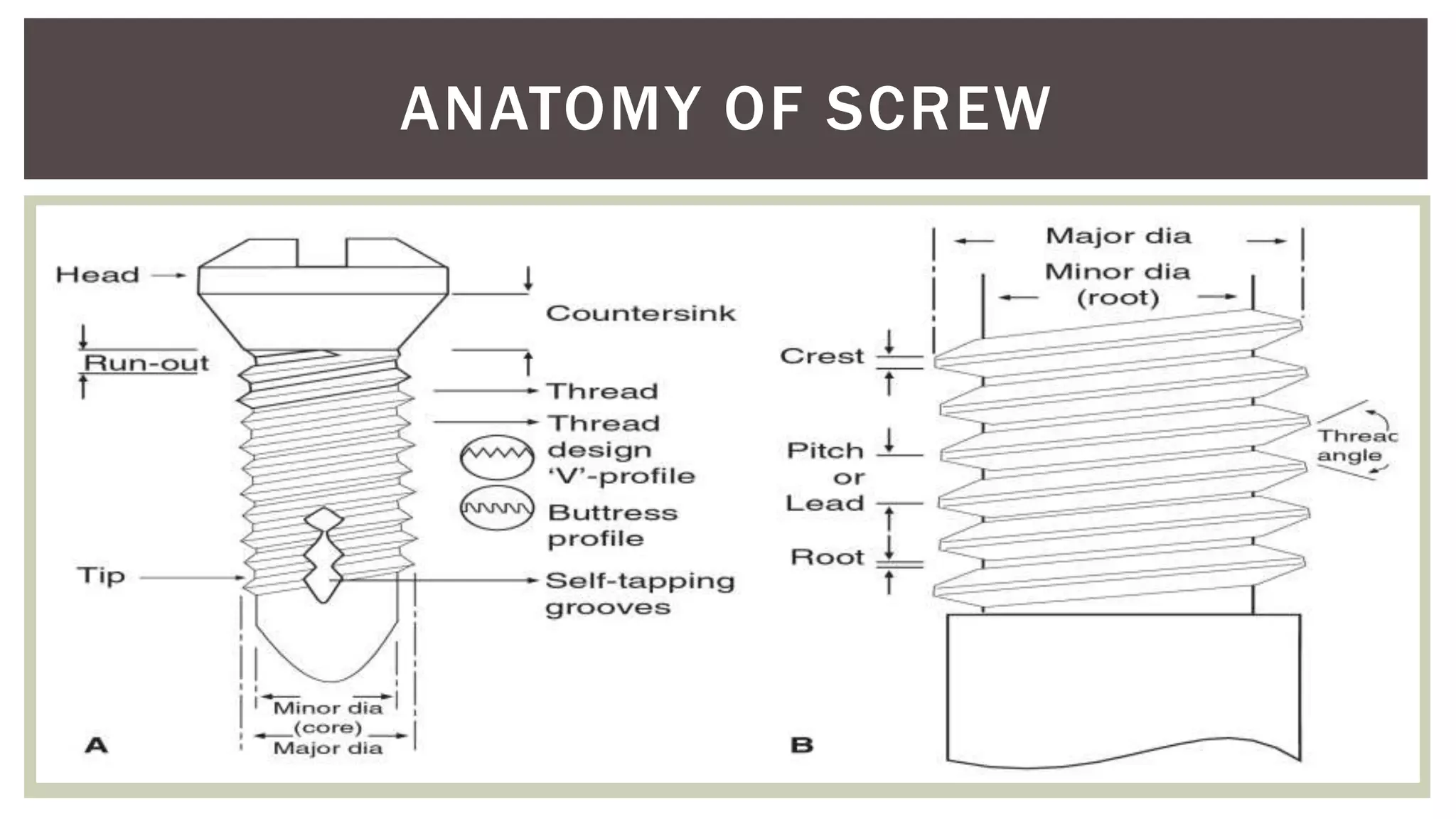 Bone screws - Principles and biomechanics - Dr. Sachin M | PPTX
