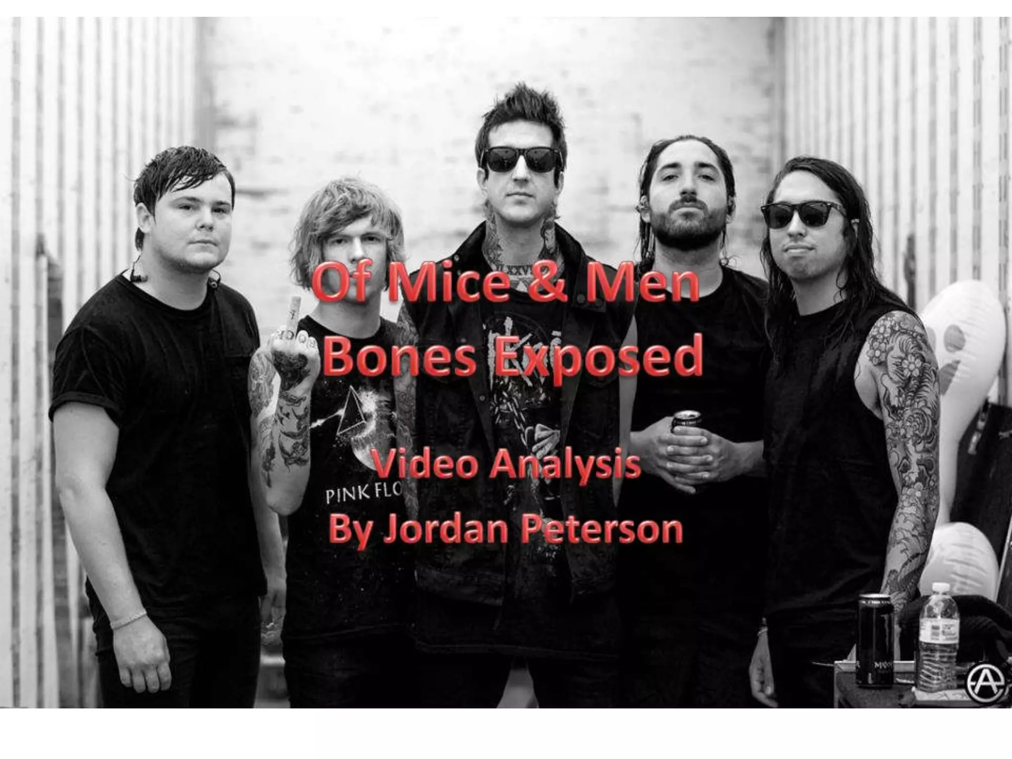 Bones exposed analysis | PPTX