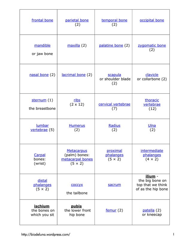 Bones flashcards biodelunaengsp | PDF | Death, Injury, or Military ...