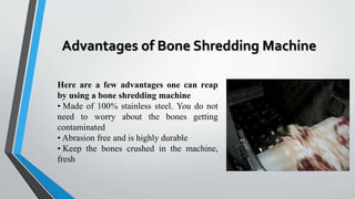 Bone Shredder | PROSINO | PPT