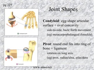 Bones, joints, muscles | PPT