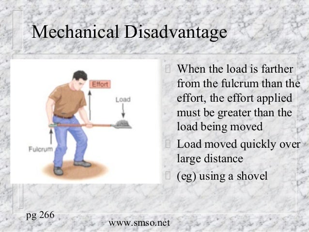 Bones, joints, muscles