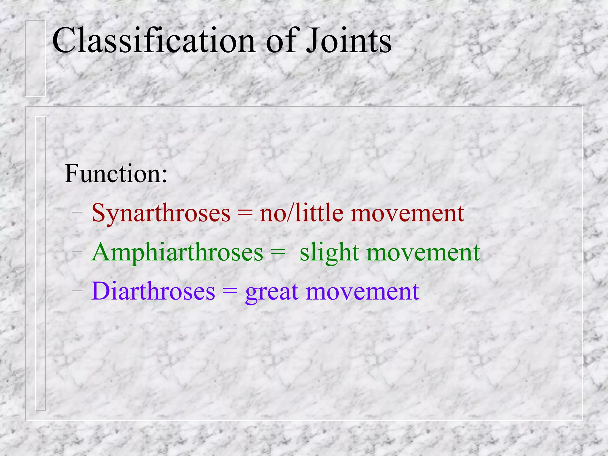 Bones, joints, muscles | PPT