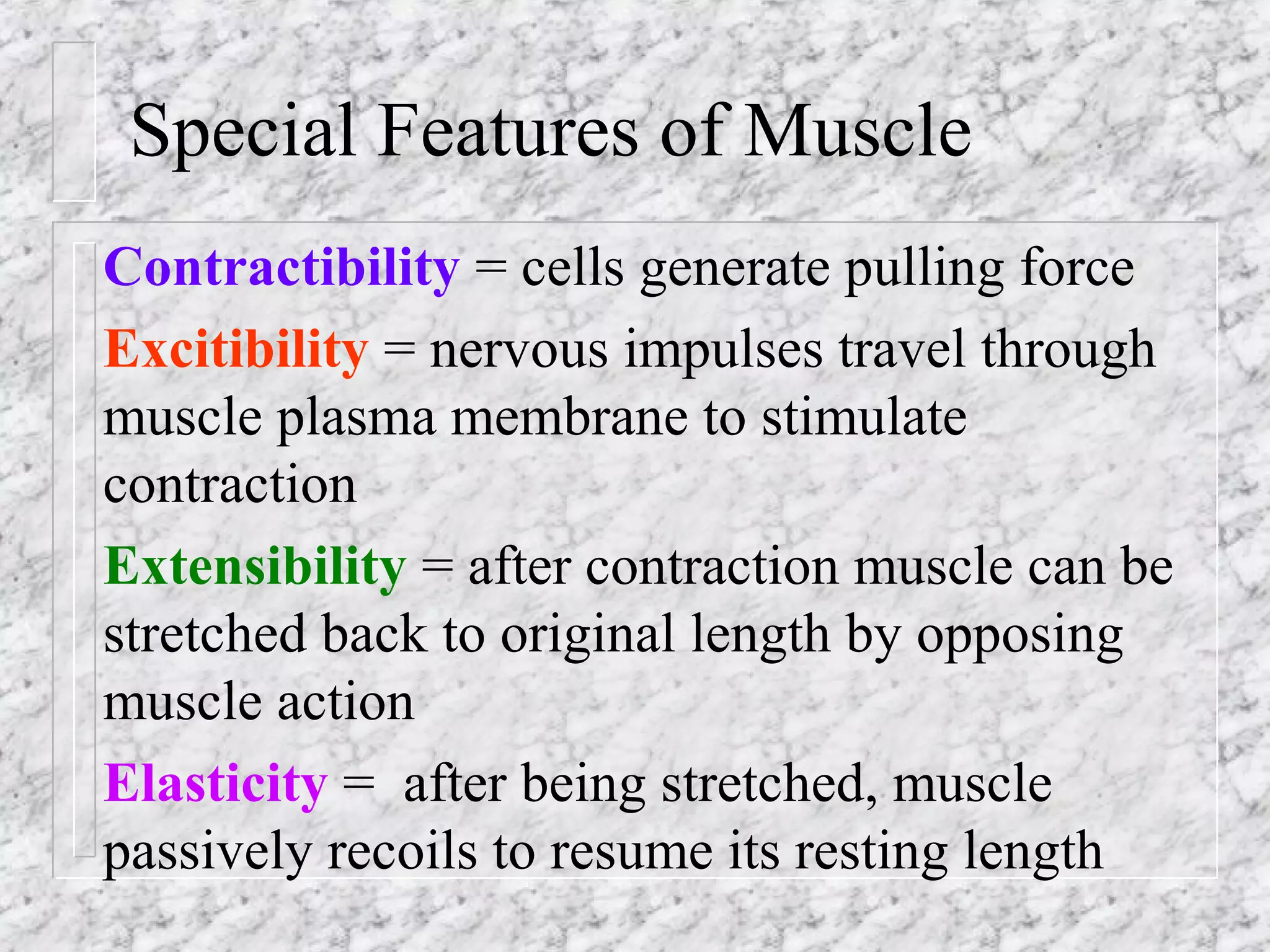 Bones, joints, muscles | PPT