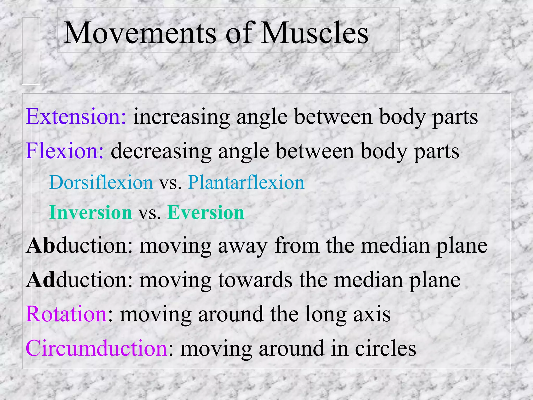 Bones, joints, muscles | PPT