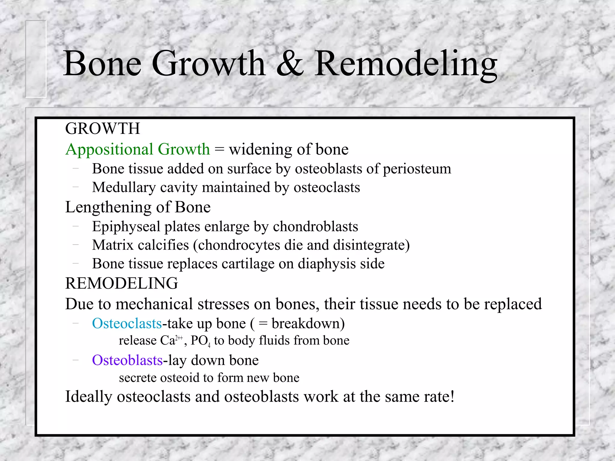 Bones, joints, muscles | PPT