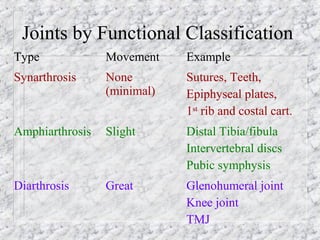 Bones, joints, muscles | PPT
