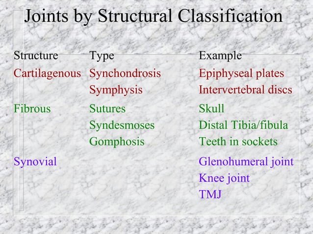 Bones, joints, muscles | PPT