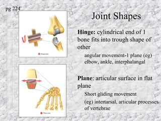 Bones, joints, muscles | PPT
