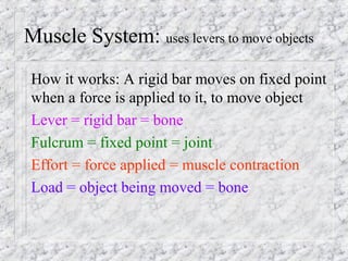 Bones, joints, muscles | PPT