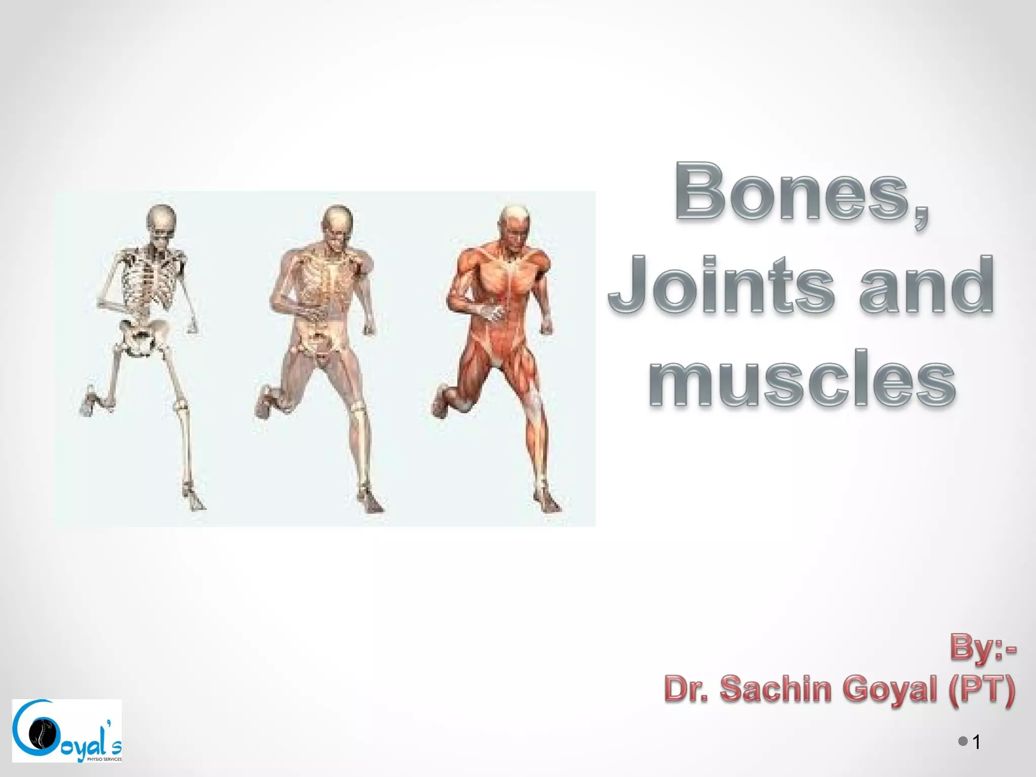 Bones,joints ppt | PPT | Death, Injury, or Military Conflict ...