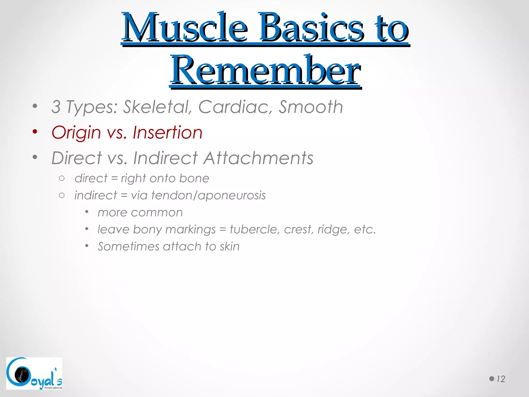 Bones,joints ppt | PPT