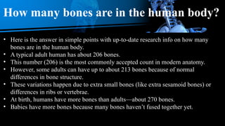 Classification of Bones anatomy, bone types | PPTX
