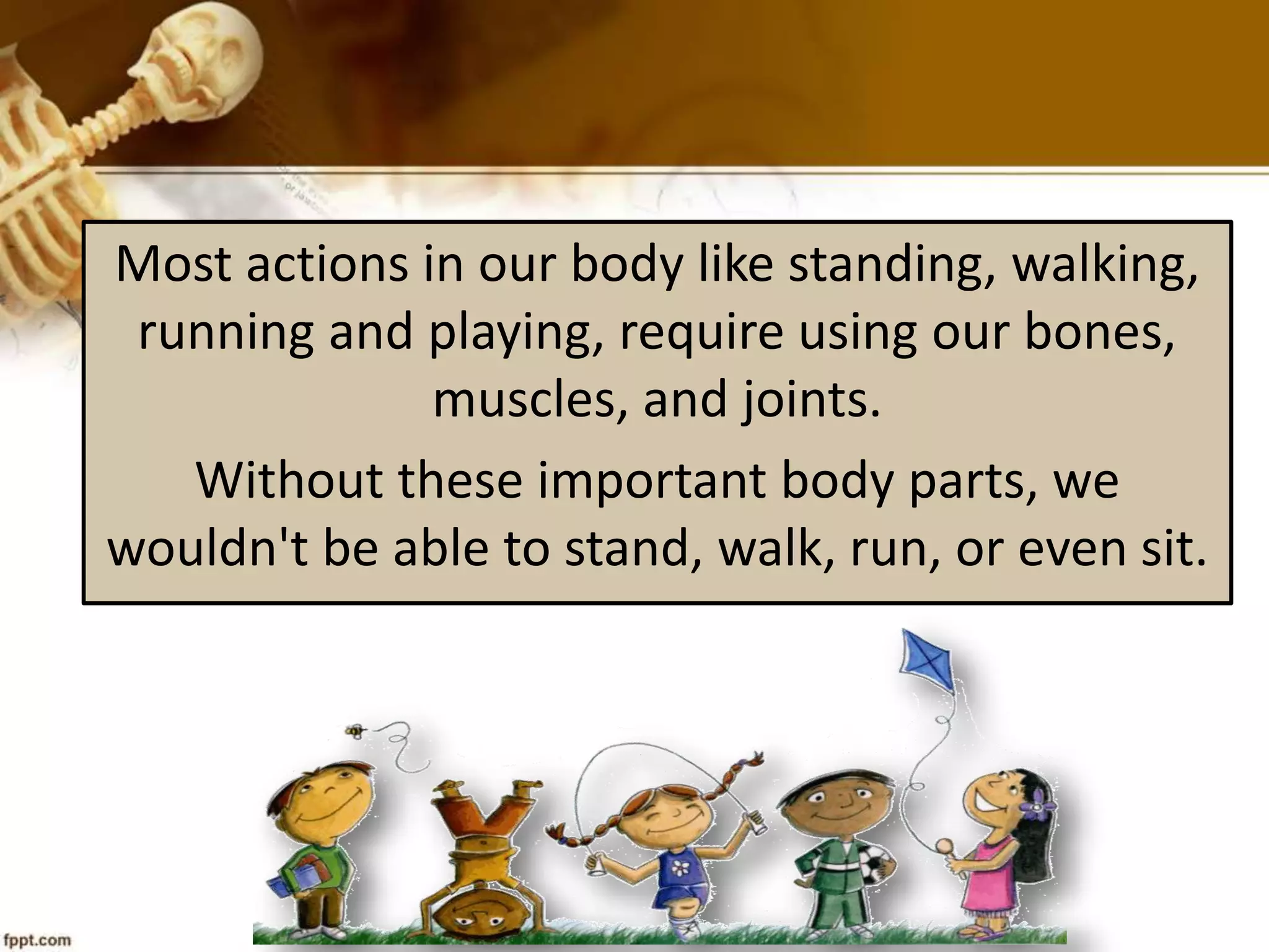Bones, muscle and joints | PPT