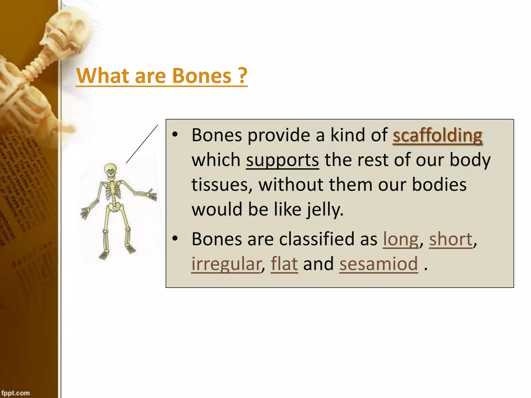 Bones, muscle and joints | PPT