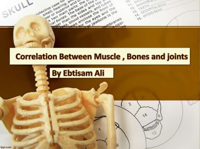 Bones, muscle and joints | PPT
