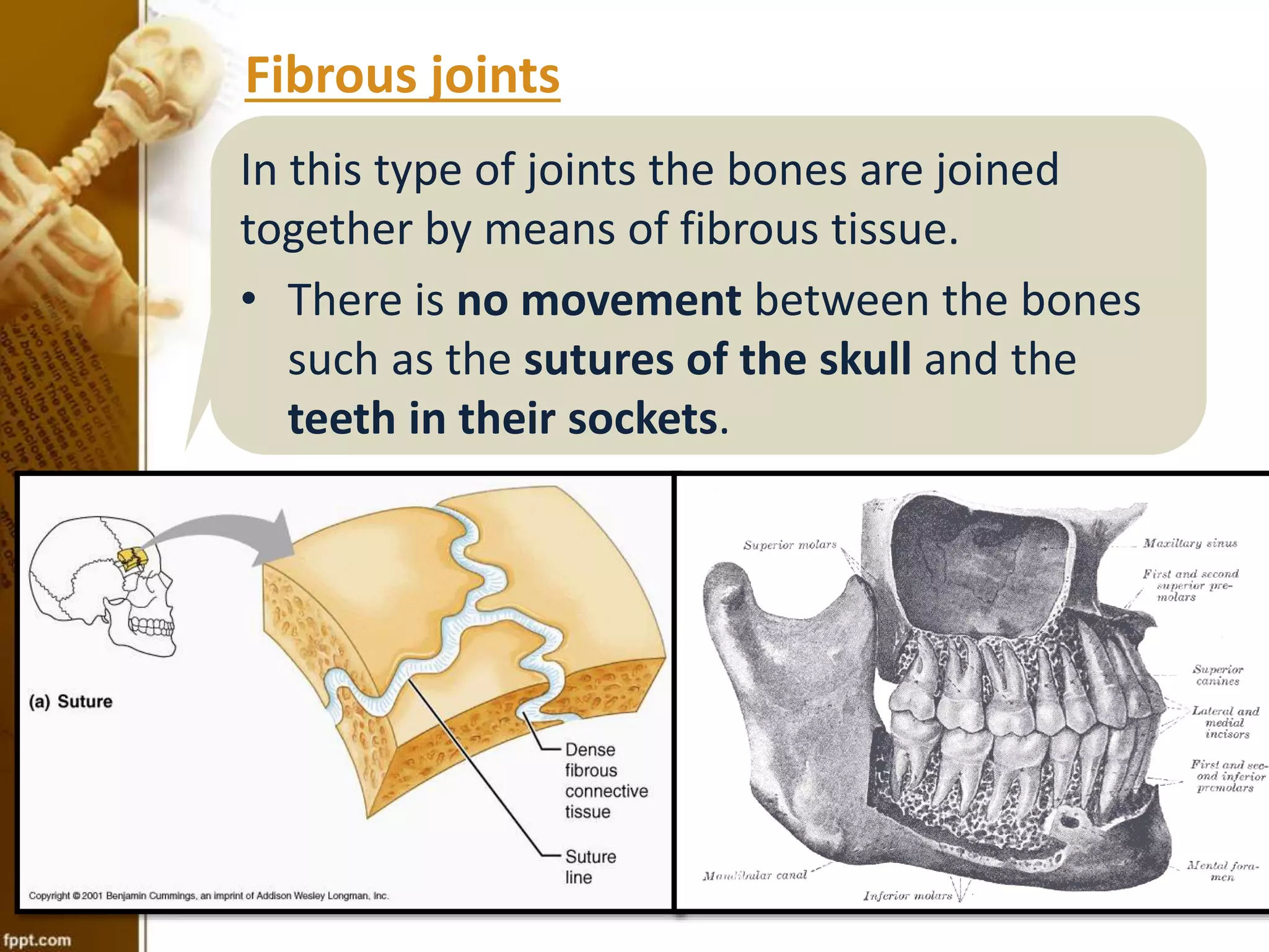 Bones muscle and joints ~ | PPTX