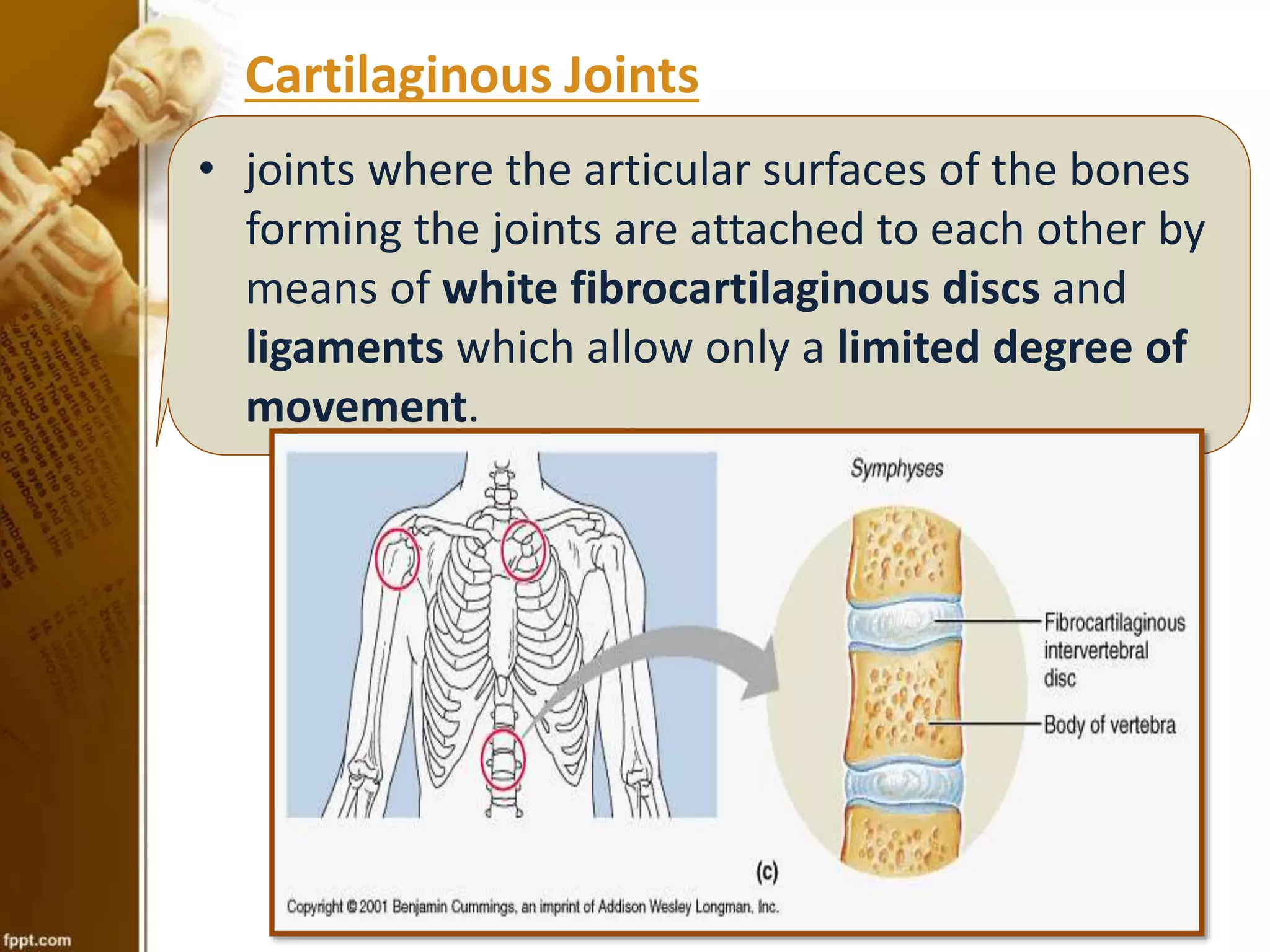 Bones muscle and joints ~ | PPTX