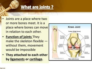 Bones muscle and joints ~ | PPTX