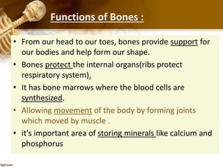 Bones muscle and joints ~ | PPTX