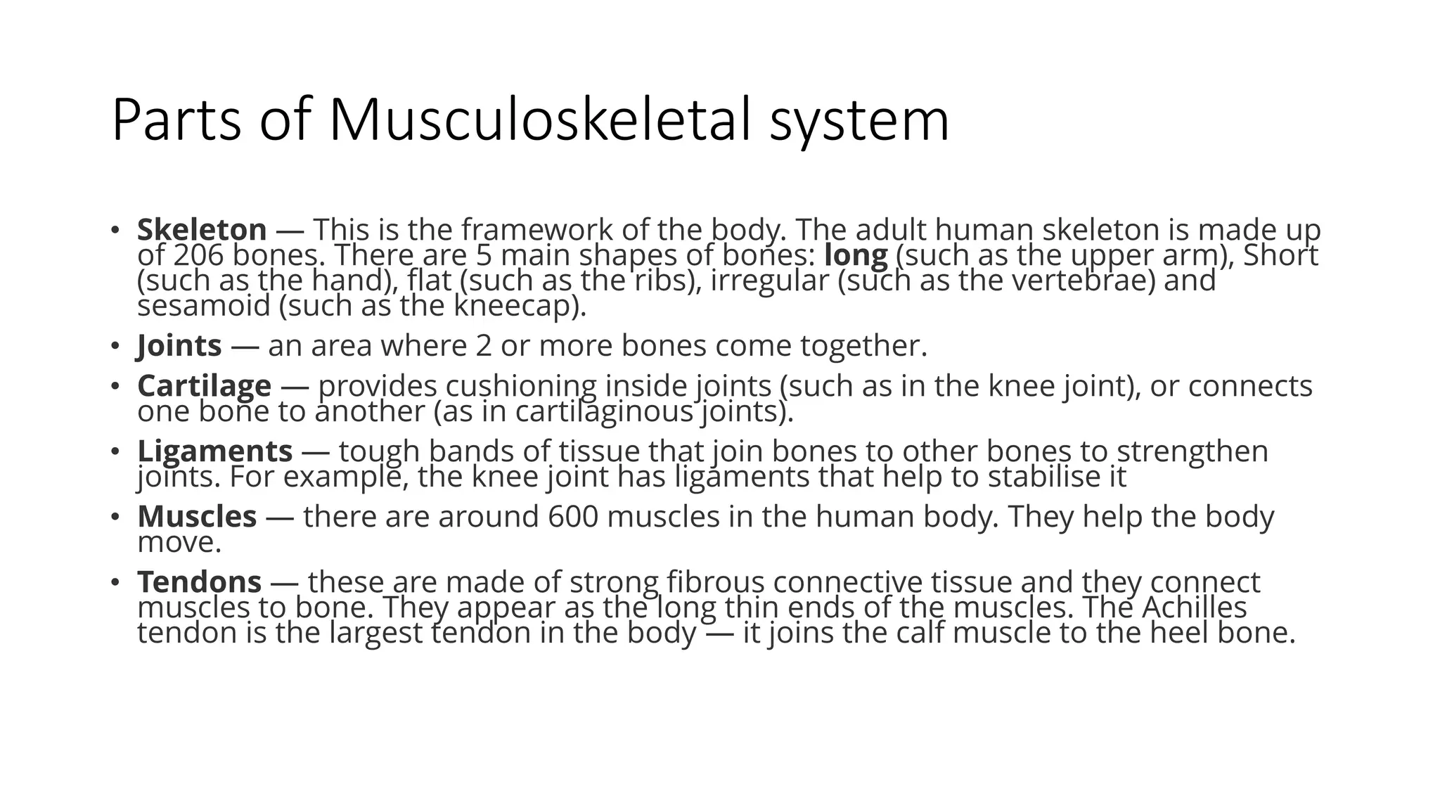 Bones & muscles.pdf