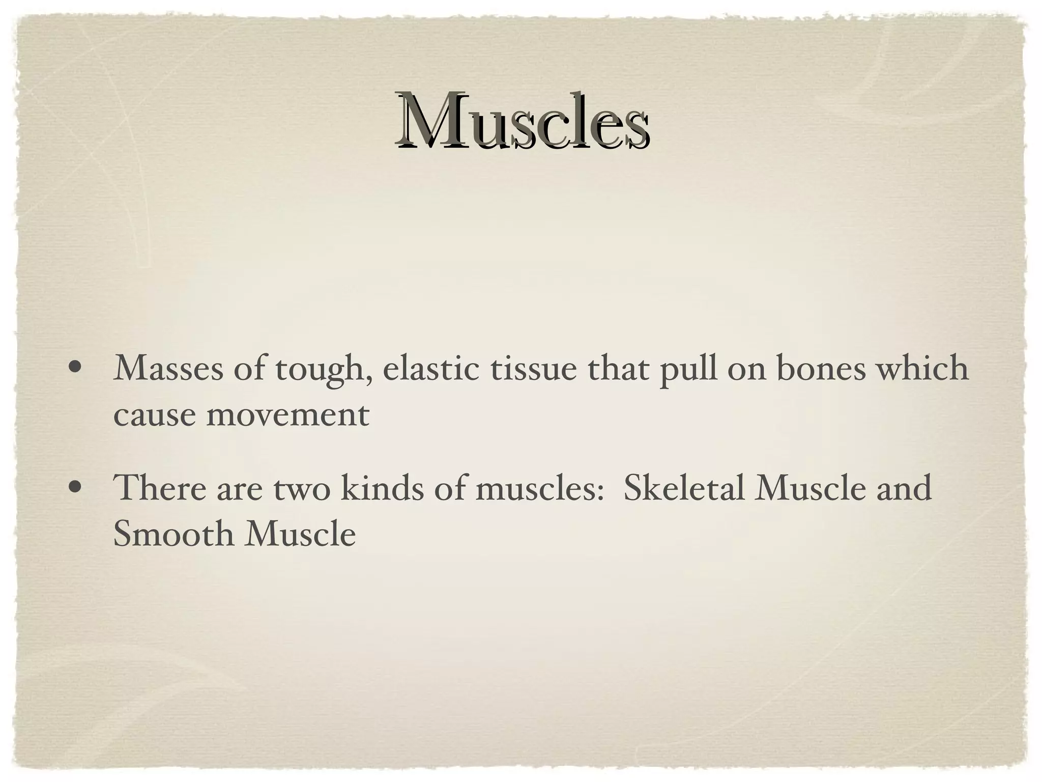 Bones, Muscles And Joints | PPT