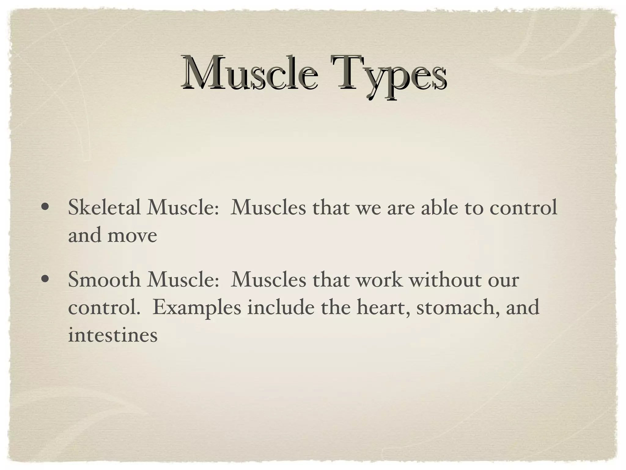 Bones, Muscles And Joints | PPT