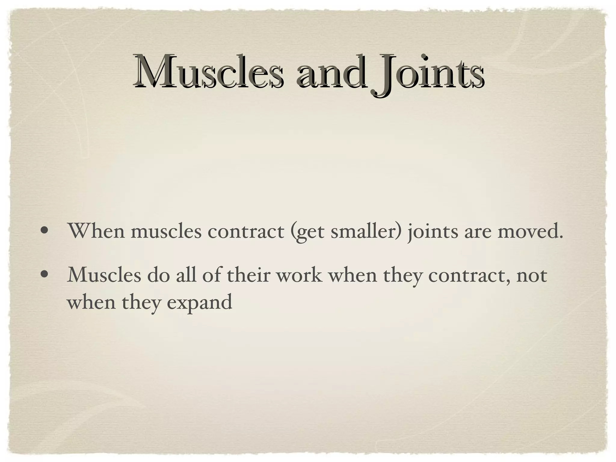 Bones, Muscles And Joints | PPT
