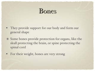 Bones, Muscles And Joints | PPT