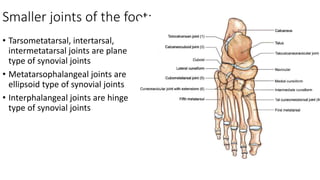 Bones of foot | PPTX