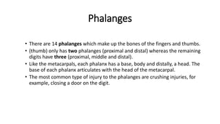 Bones of Hand 183627813645378498364378.pptx