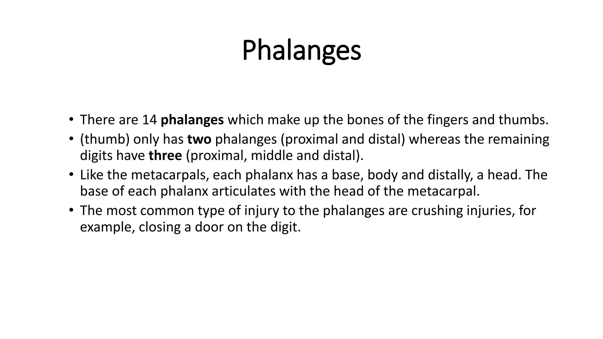 Bones of hand | PPTX