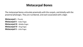 Bones of hand | PPTX