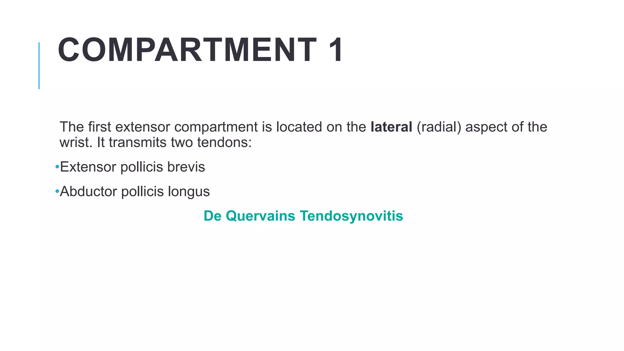 Bones of hand and anatomical spaceas | PPTX