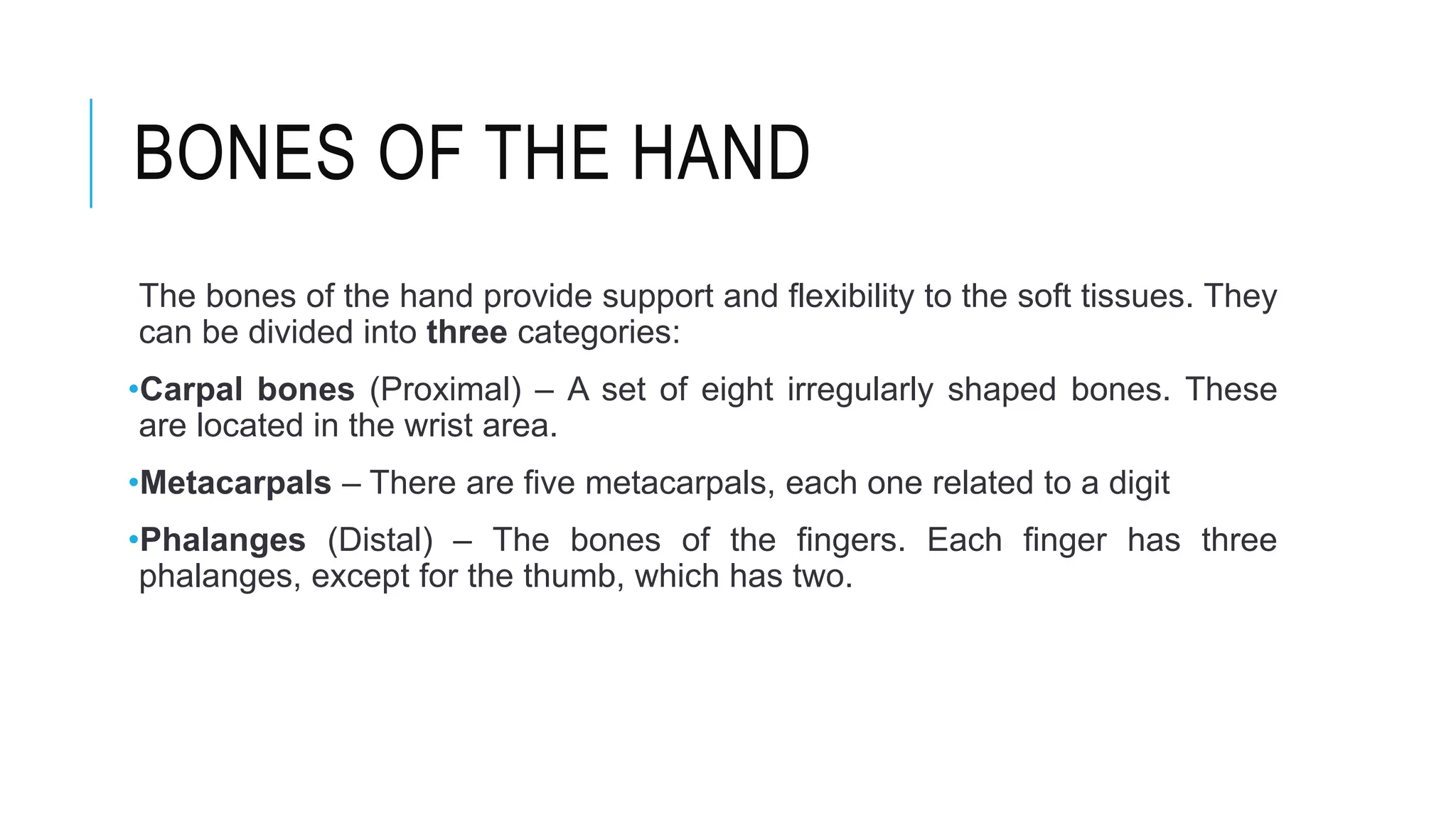 Bones of hand and anatomical spaceas | PPTX