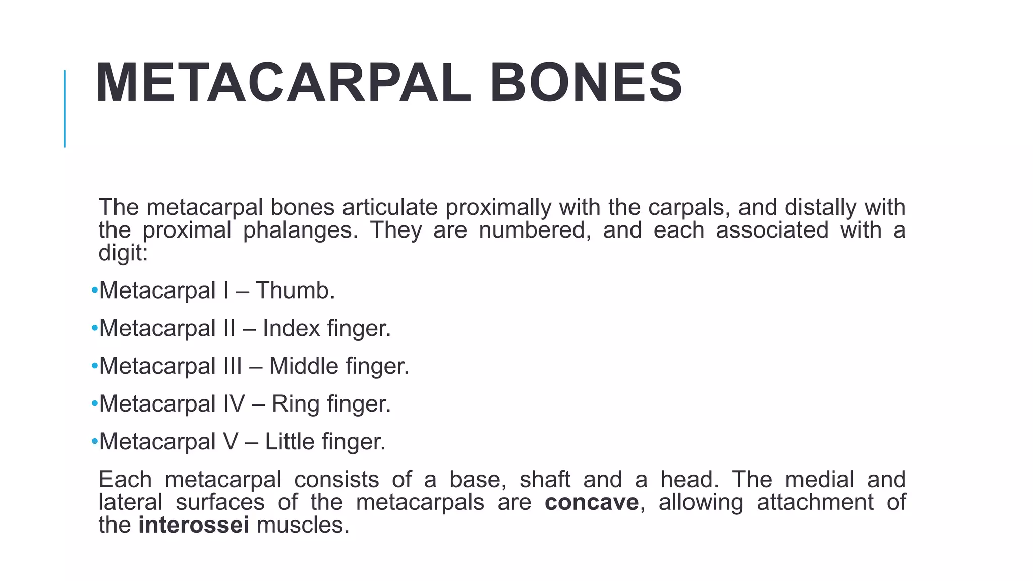 Bones of hand and anatomical spaceas | PPTX