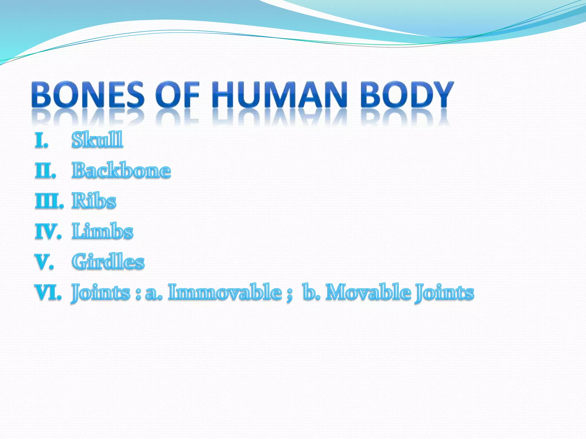 Bones of human body | PPTX