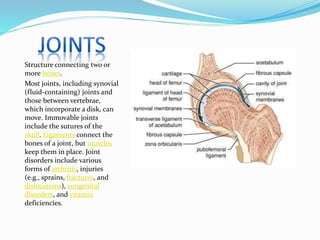 Bones of human body | PPTX
