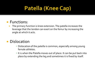 bones of Lower Limb. bones of Lower Limb. | PPTX