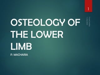 BONES OF LOWER LIMB good anatomy notes .pptx
