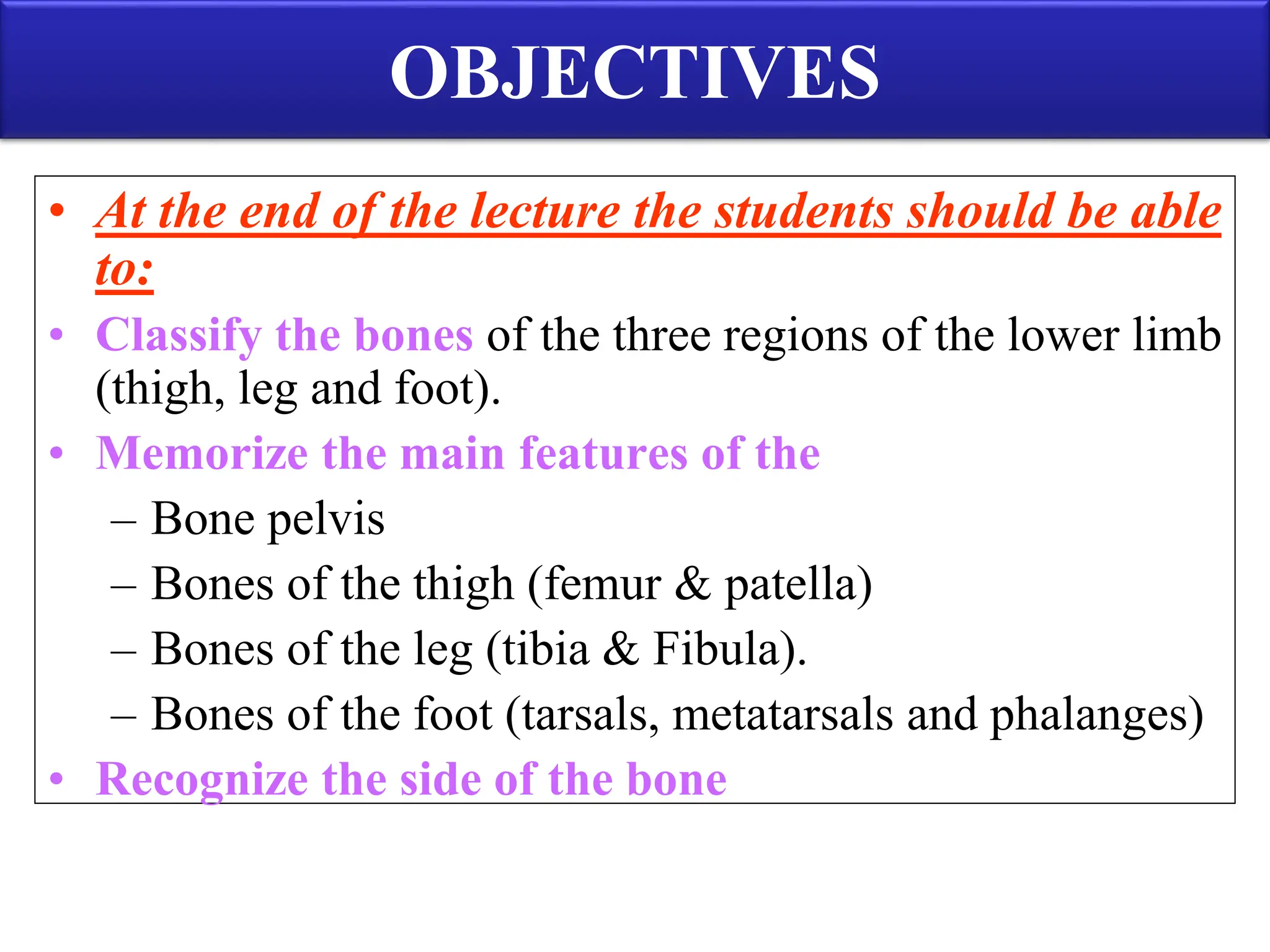 Muscles Bones of Lower Limb Lower Limb Bones of LL HUMAN | PPT