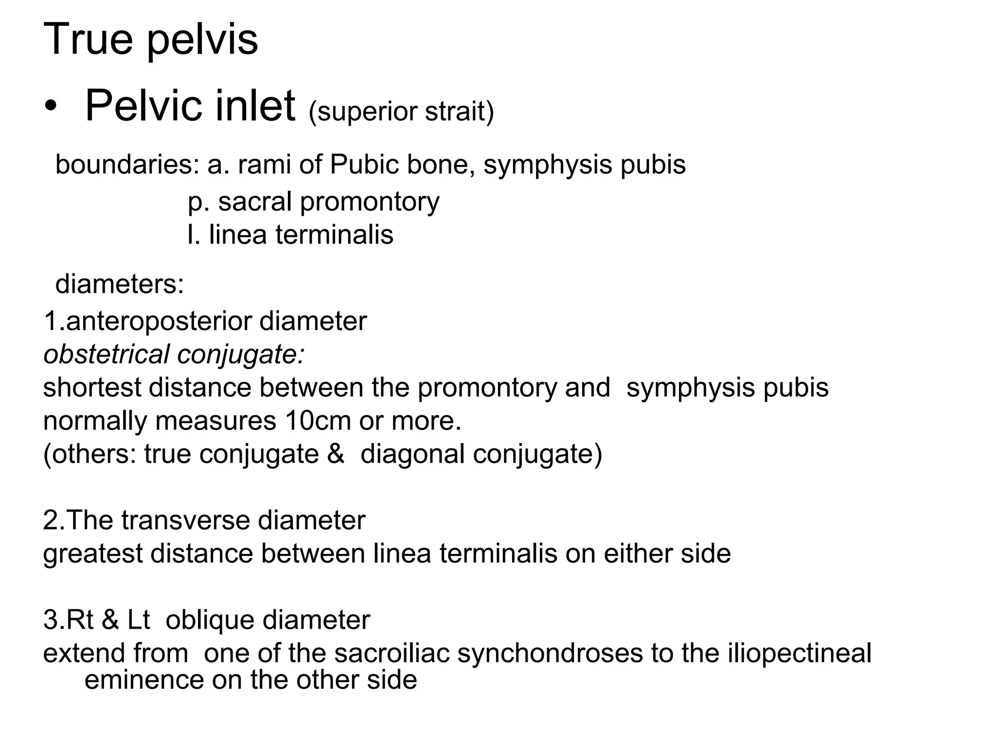 Muscles Bones of Lower Limb Lower Limb Bones of LL HUMAN | PPT
