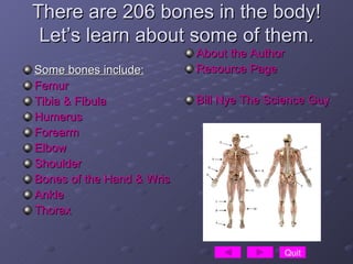 Bones Of The Body | PPT