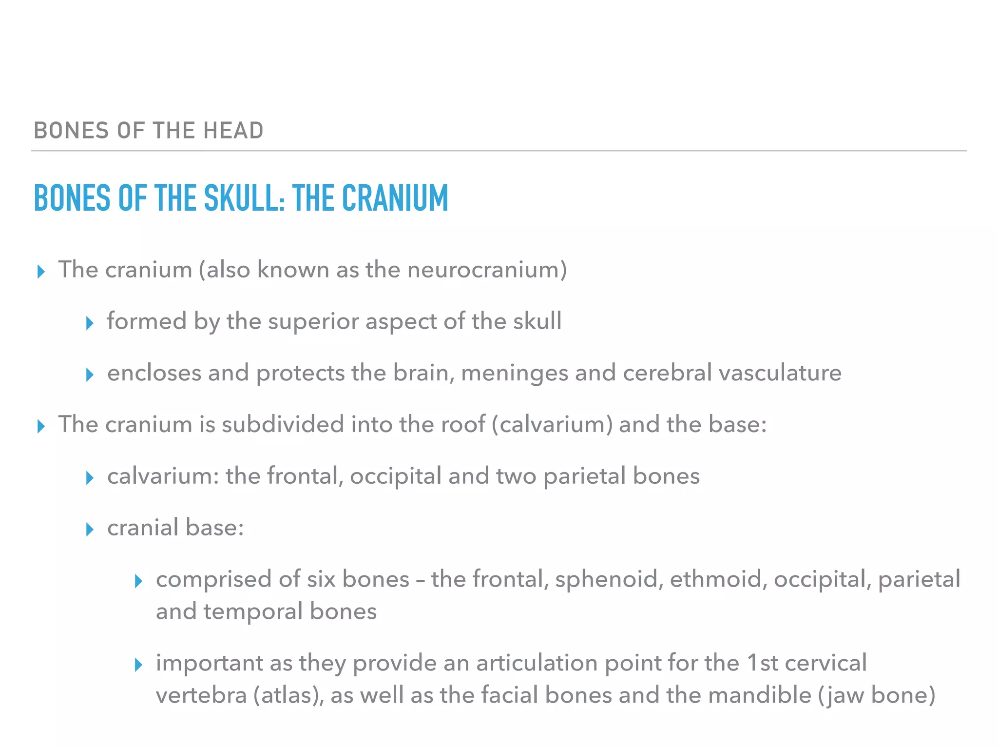 Bones of the head | PDF