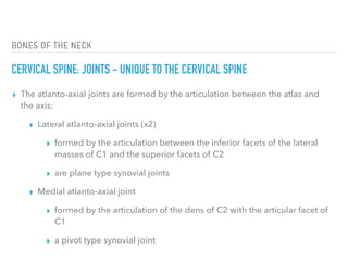 Bones of the neck | PDF